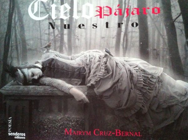 Mairym Cruz-Bernal: el EIDE es un acto de amor - Hispanic Heritage ...