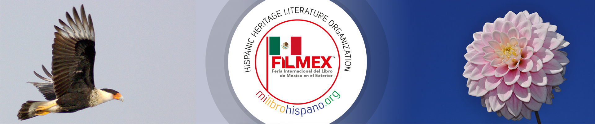 Isis Macedo - Hispanic Heritage Literature Organization / Milibrohispano